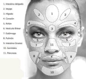 Mapeo Facial: El Rostro Espejo De Tu Salud Interna | SA Acupuntura